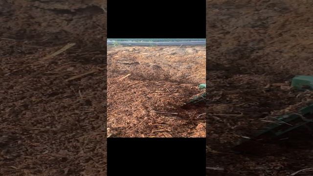 Готовим грядки под княженику