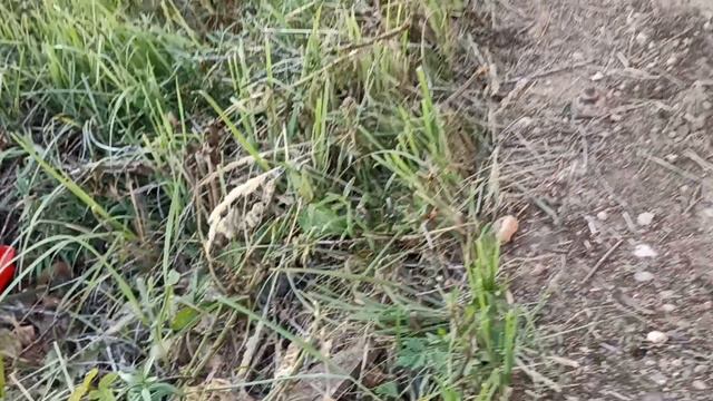 Вместо новой пристани, новый смешной забор в Дмитровском пассажирском порту