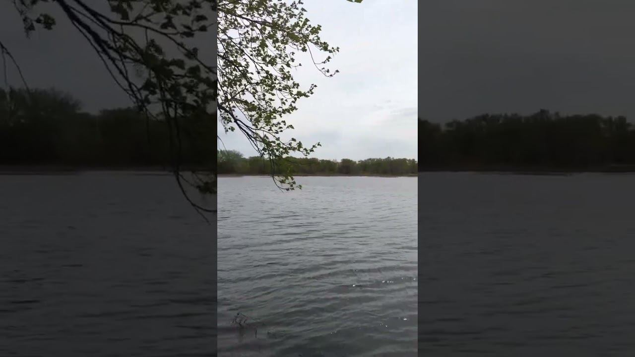 На берегу Волги в конце апреля 2023г. #volga #river #nature #волга