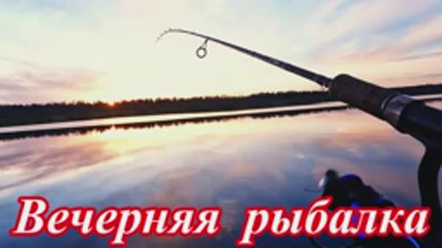 Отдых после трудового дня.Вечерняя рыбалка на поплавок.  Остались очень довольны.