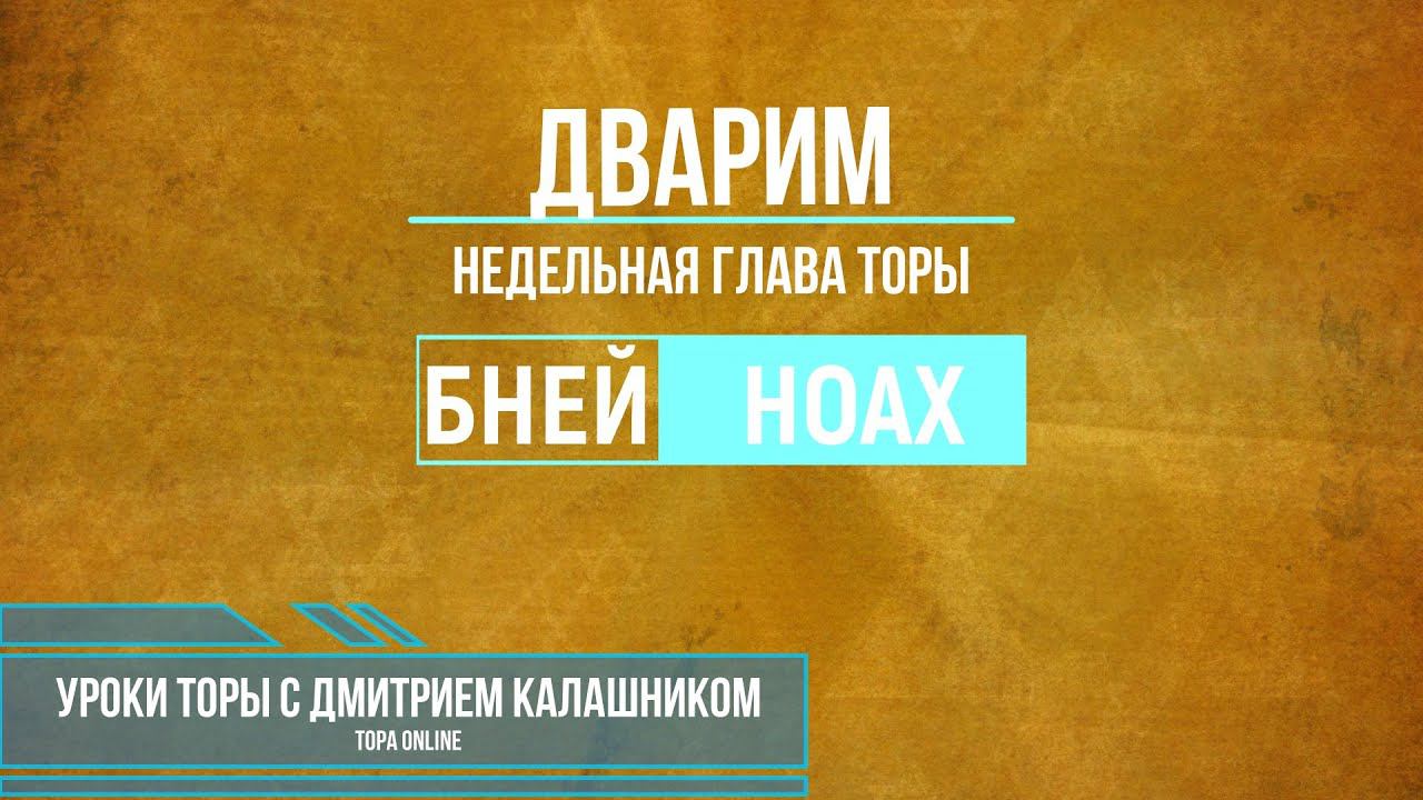 Недельная глава ТОРЫ "ДВАРИМ", книга "ДВАРИМ" (Второзаконие) 5780