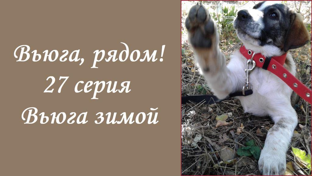 "Вьюга, рядом!" 27 серия "Вьюга зимой"   new