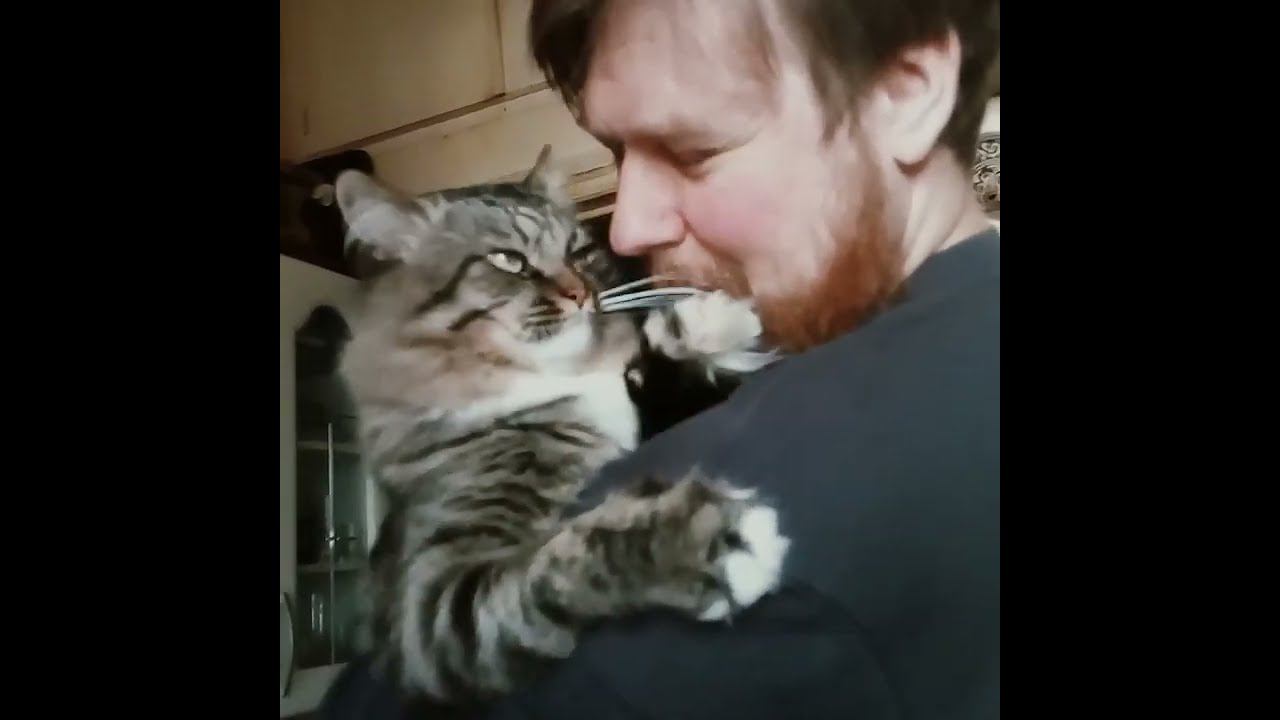 Кузьма плечо терзает