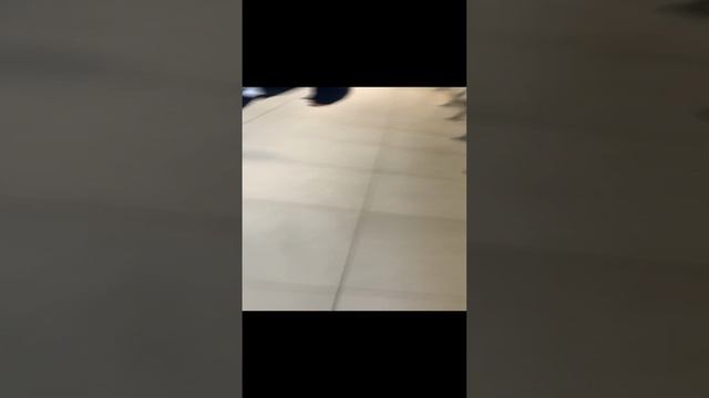 Первая часть я хожу по школе