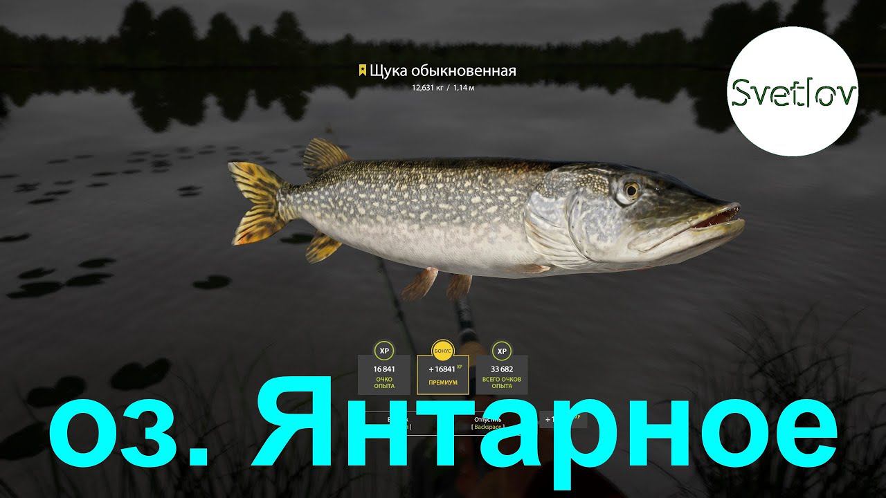 Троф Щука на оз.  Янтарное.  Легко! #gaming  #русскаярыбалка4