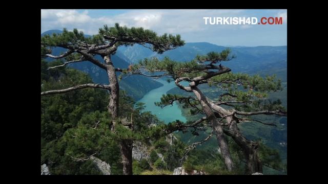 Я на Красном Блоге Что я ДОЛЖЕН знать.
