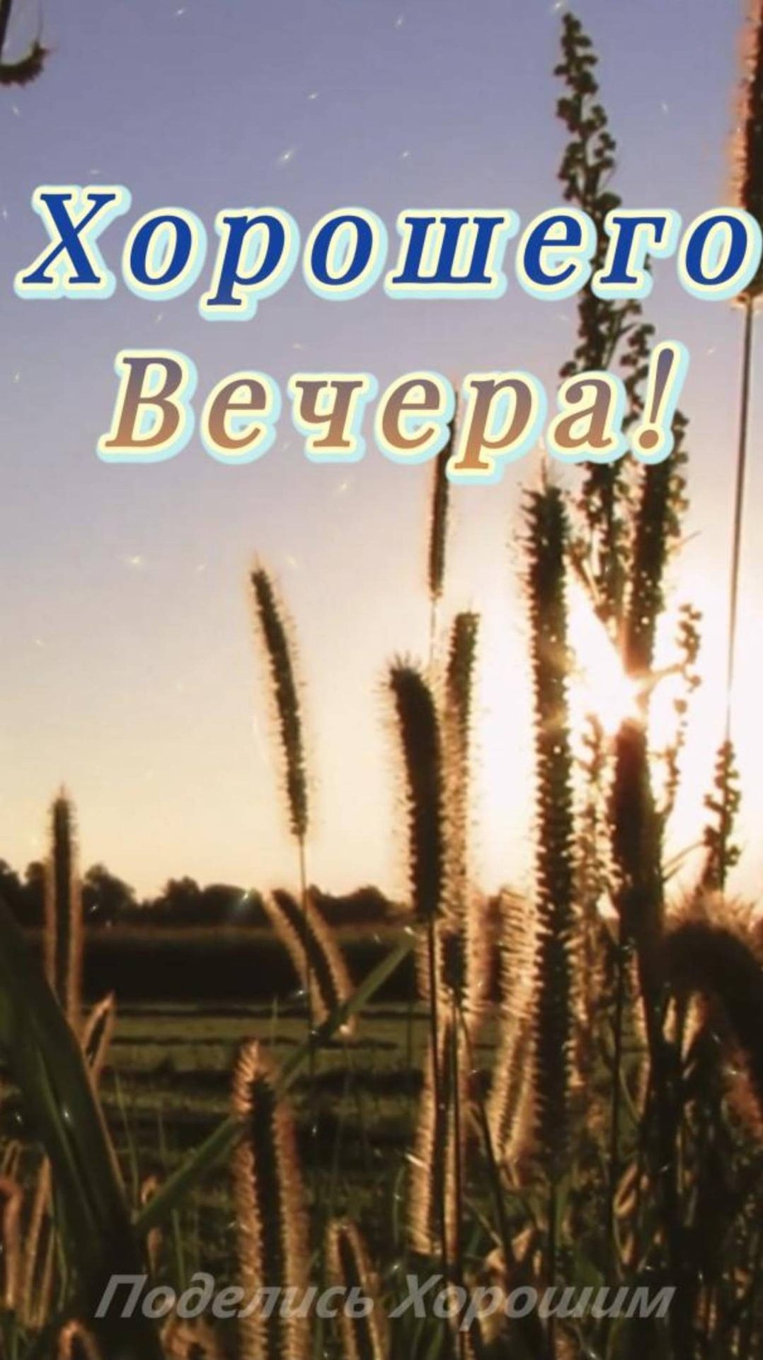 Хорошего Вечера!