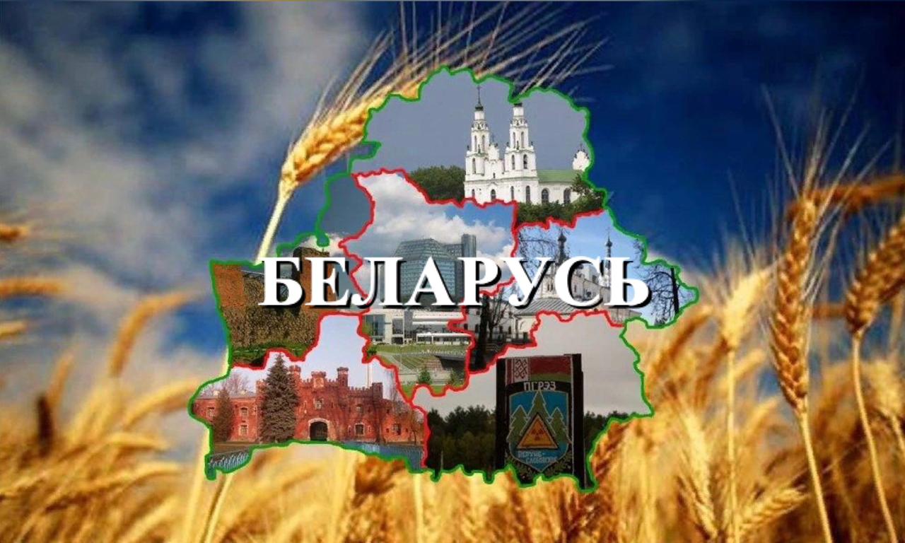 #Беларусь#таро#прогноз#2023#2024