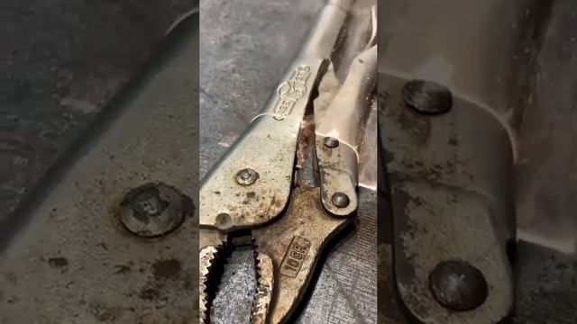 VID_20221217_192529_379.mp4