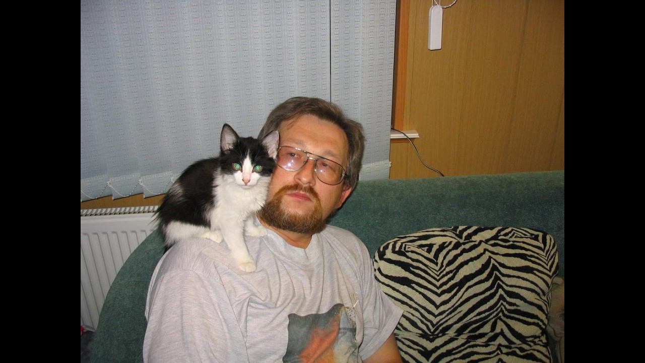 Разговор с котом