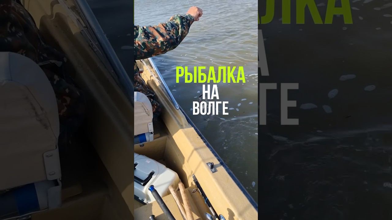 Полное видео на канале. Подписывайтесь!