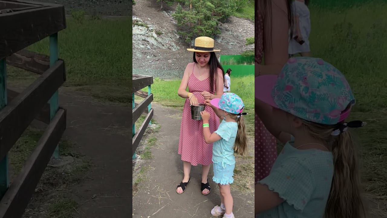 Кормим Ламу. Горный Алтай