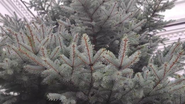 Утро трудовое.