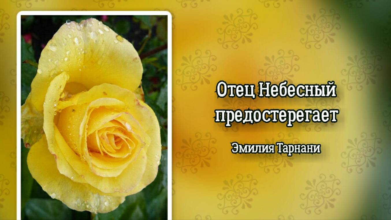 Отец Небесный предостерегает (+)