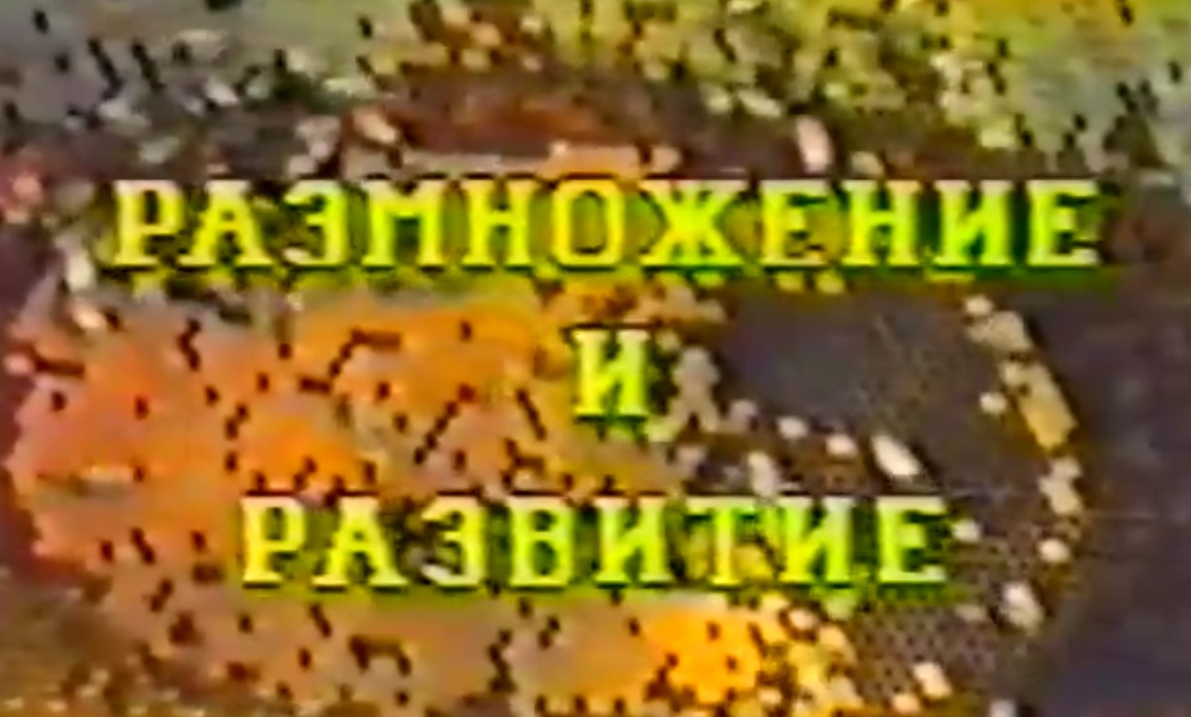 обучалки ссср.mp4