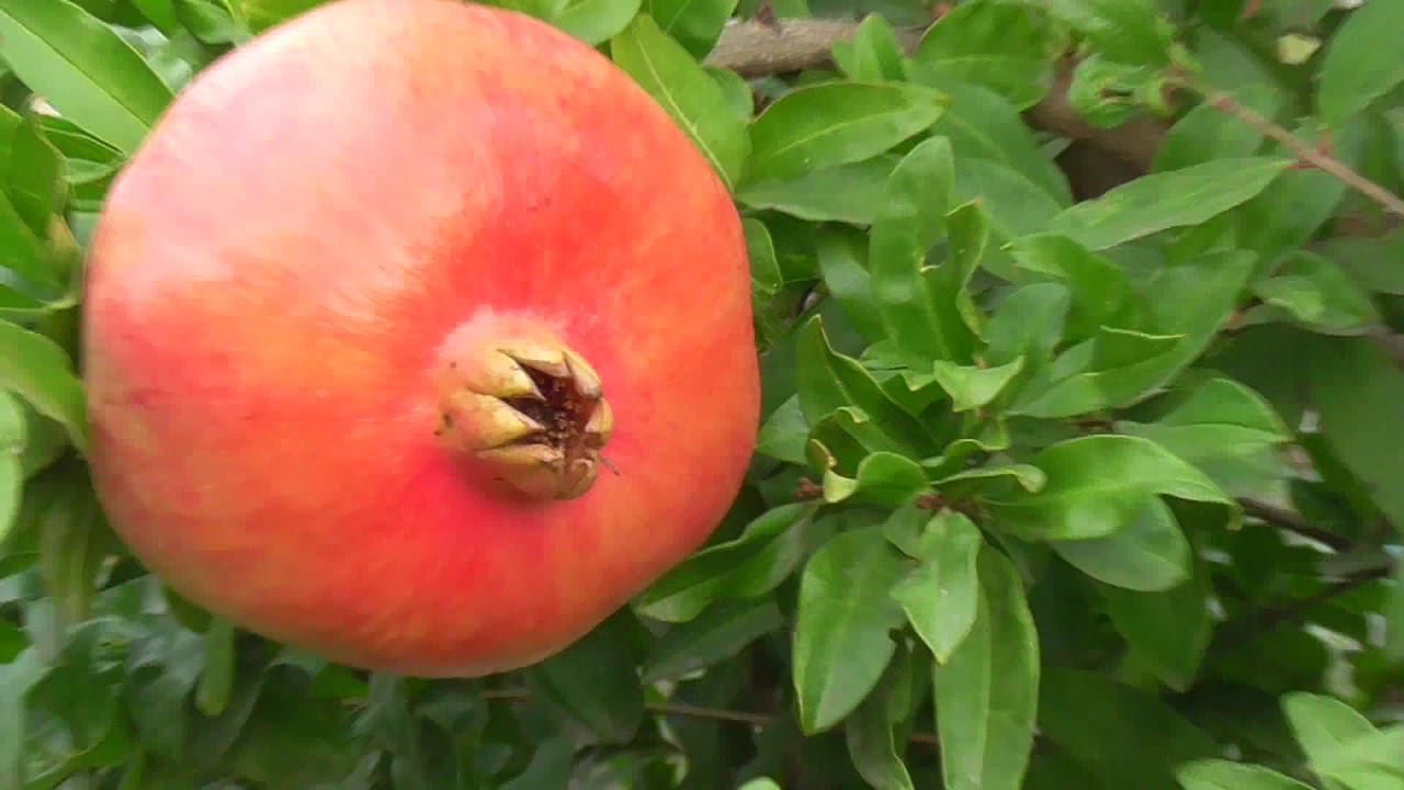 Экскурсия по  Керчи и Ленинскому району