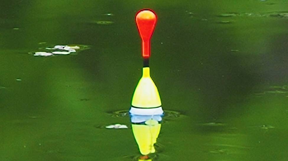 ПОПАЛ В ЗМЕИНОЕ ЛОГОВО! Активный клев карася на маховую удочку с поплавком.