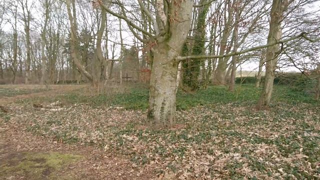 Церковь Крогсбэк (Krogsbæk Ødekirke), Дьюрсланд, Дания. 24 фев. 2021