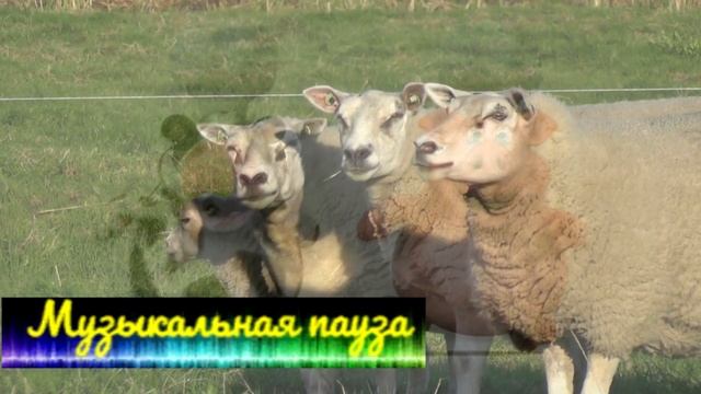7)Человеческий нос имеет свойство худеть ?