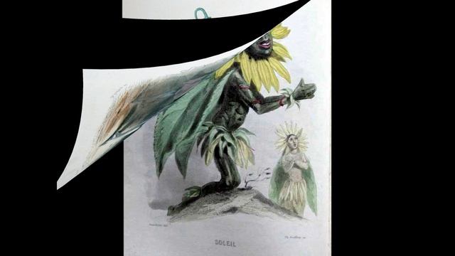 Красота книги. Книжное искусство Франции XIX века