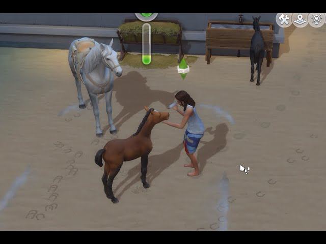Симс 4 конное ранчо