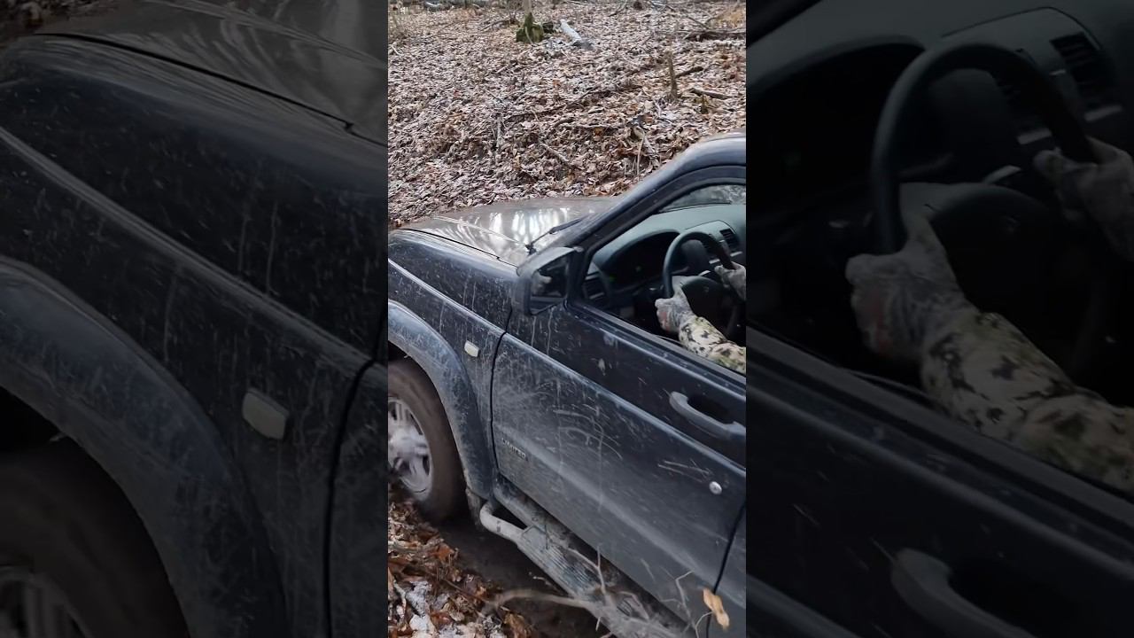 Достаем кабана! #охотарыбалка #охота #кабан #кабаны #трофей