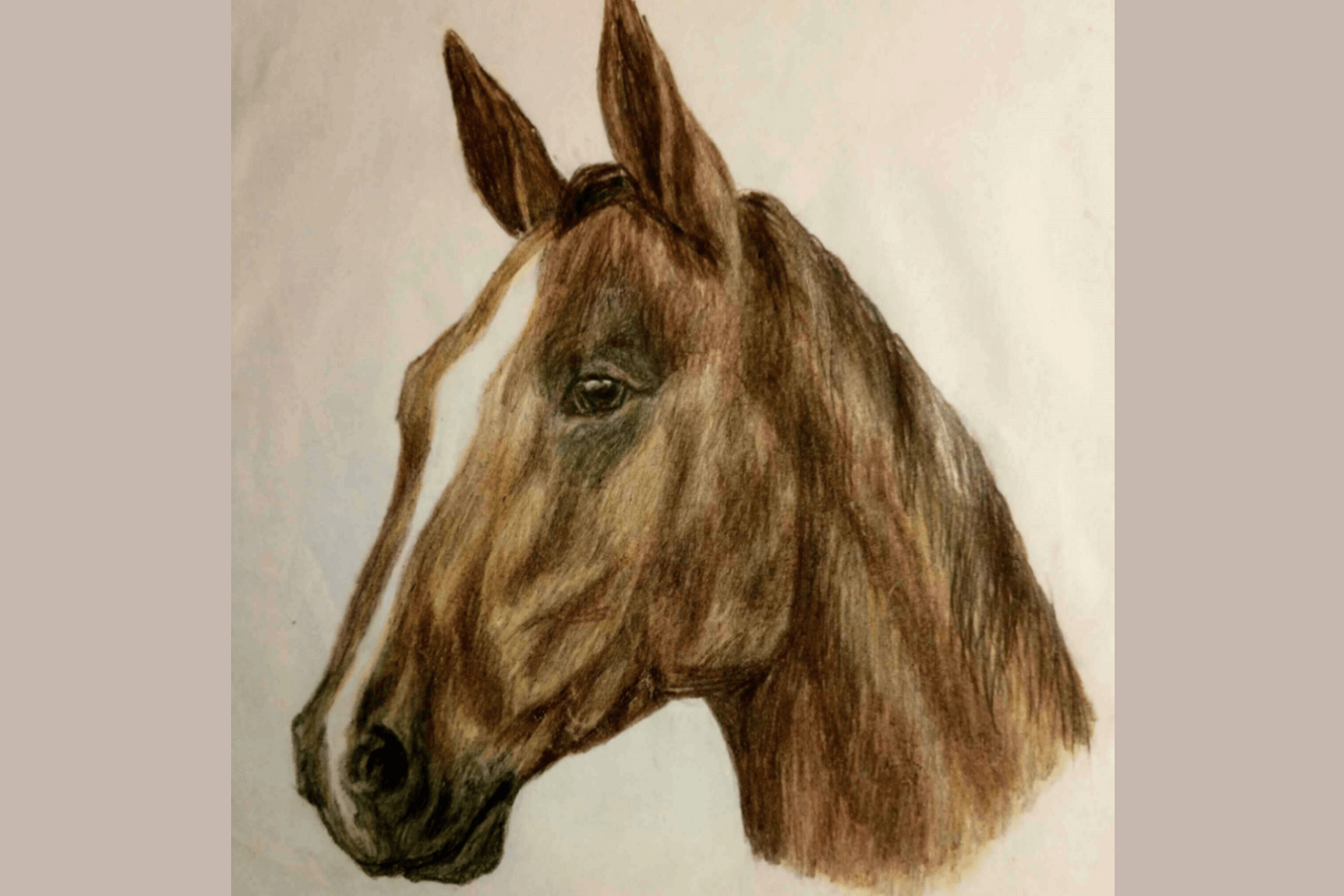 Детские рисунки карандашами. Кони