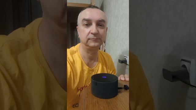 АЛИСА -  ЧТО ТАКОЕ "ВсеРОД".