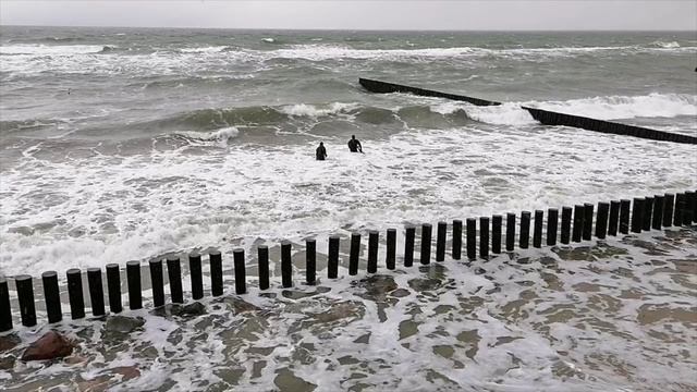 Охотники за янтарем