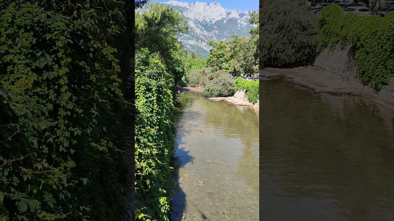 Территория отеля Mi Biche Kemer. По дороге на пляж. Красиво #кемер