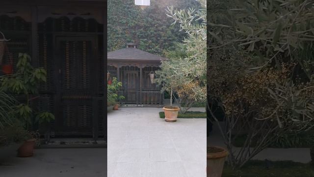 Ресторан Наарта