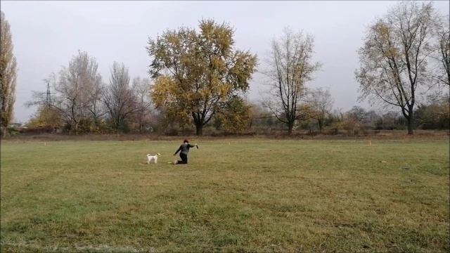 FrisbeeМанія2019   Валентина ПРТ Луша.mp4