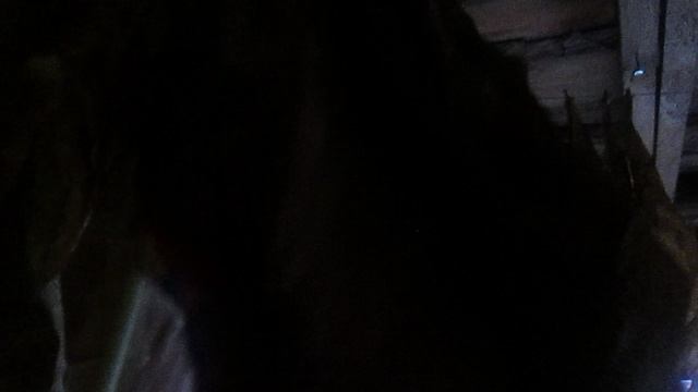 как сушиться табак