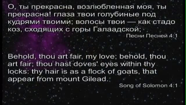 5. Он и она. Цикл бесед Виталия Олийника. 03.16.2014.mp4