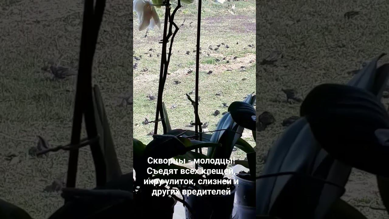 Ейское укрепление 25 марта 2024 г.