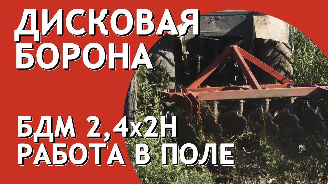 Борона дисковая навесная БДМ 2,4х2 Артайус в работе с МТЗ-82