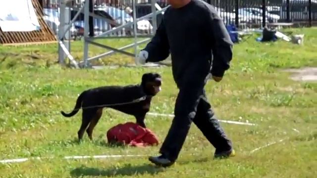 Охрана вещи Кубок России зачет 7 баллов