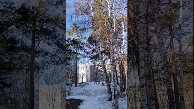 Птичку видишь А она есть. И много
