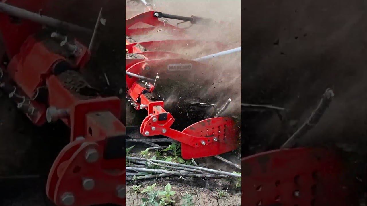 Veloce 10 метровая #maschiogaspardo #дисковаяборона #почвообработка #сельхозтехника #агротехника