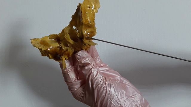 Кости мозгового черепа лобная, теменная, затылочная и клиновидная