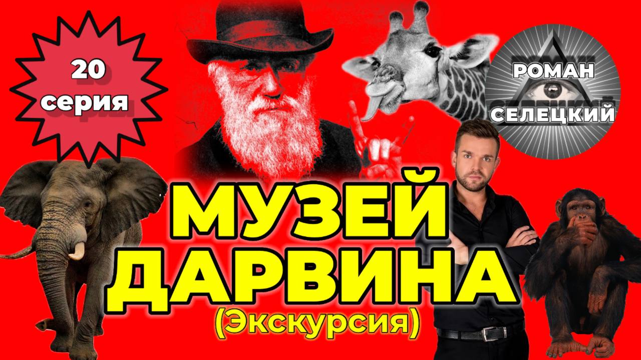 ДАРВИНОВСКИЙ МУЗЕЙ. Экскурсии