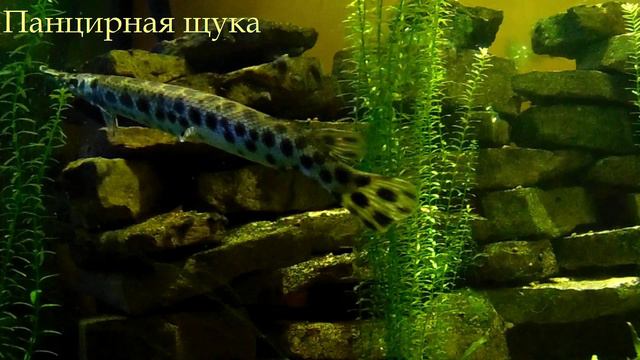 «Экзотариум» - аквариумы в зоопарке