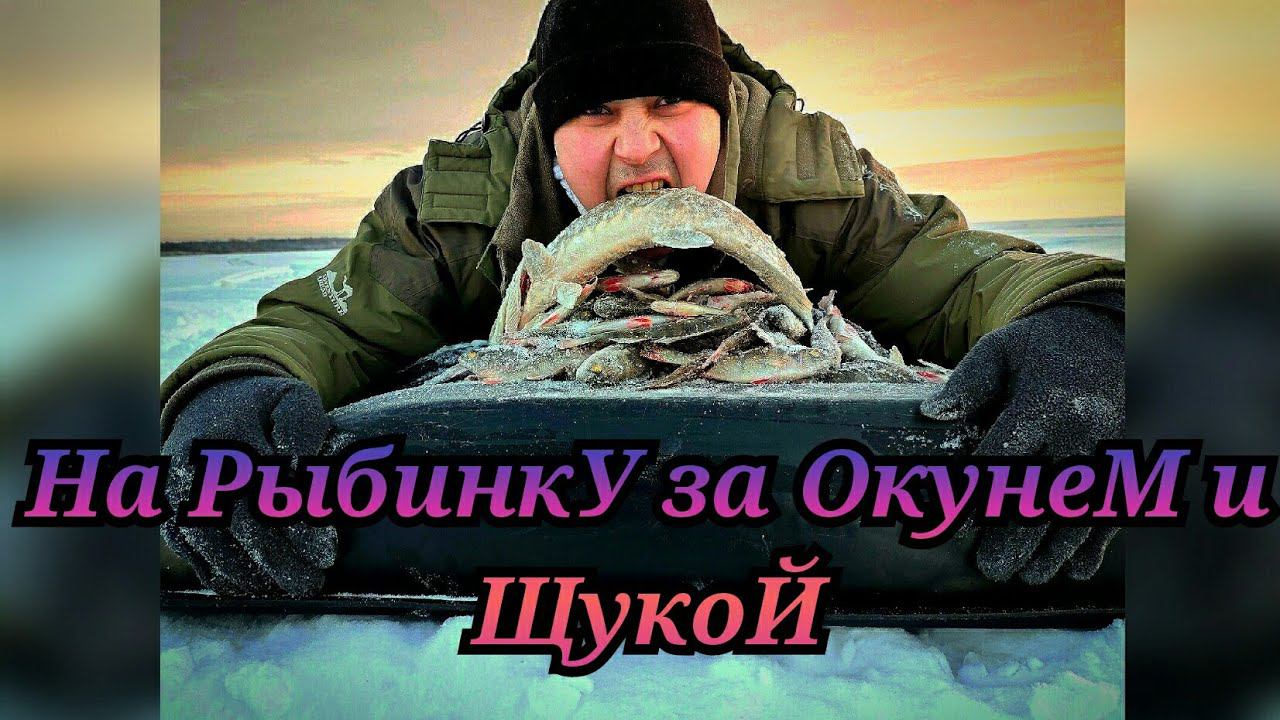 Зимняя рыбалка "4к".  Рыбалим на Рыбинском водохранилище  на ЖерлицЫ!!! БЕШЕНАЯ РАЗДАЧА ОКУНЯ!!!