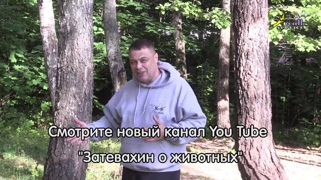 Защитно-караульная служба. Обучение охране вещи