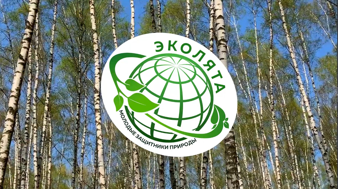 Детский сад №131 «Лучистый» группа №10 «Звёздочки» город Севастополь Всероссийский урок «Эколята»