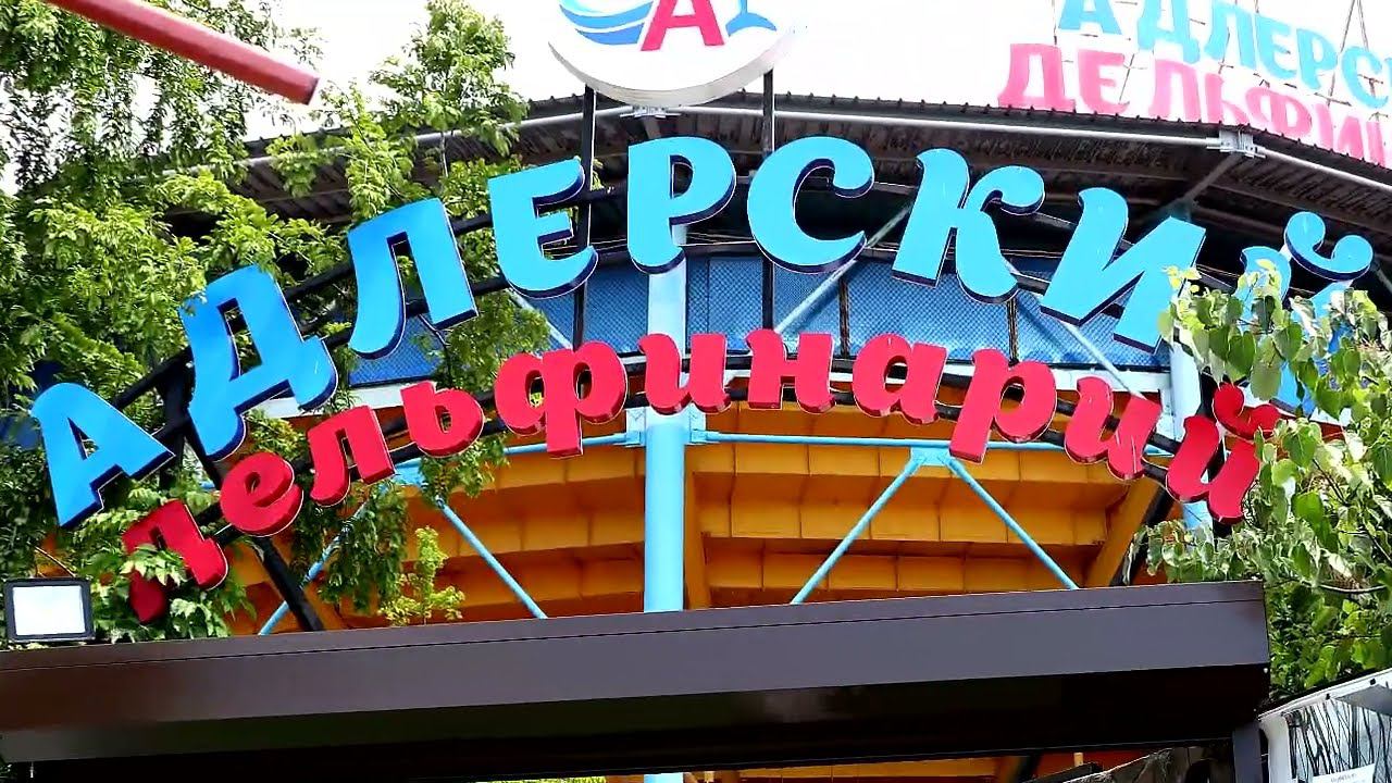 2022 Сочи Дельфинарий