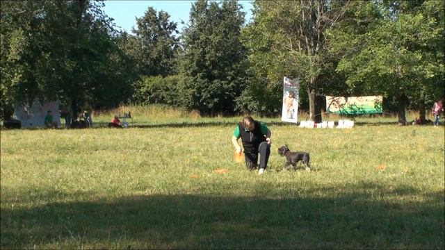 Фризби Фристайл Татьяна и Чижик.mp4