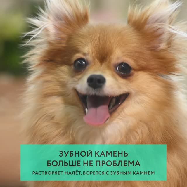 Что делает гель для зубов и полости рта собак и кошек MY TOTEM ORALVET?