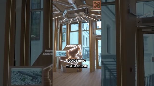 Дерево - лучший материал для дома? Почему дерево идеально подошло для строительства павильона Naturi