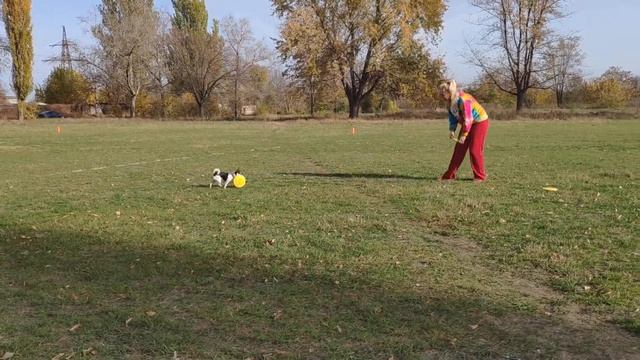 Frisbee-Манія 2018 Диана и Василиса.mp4